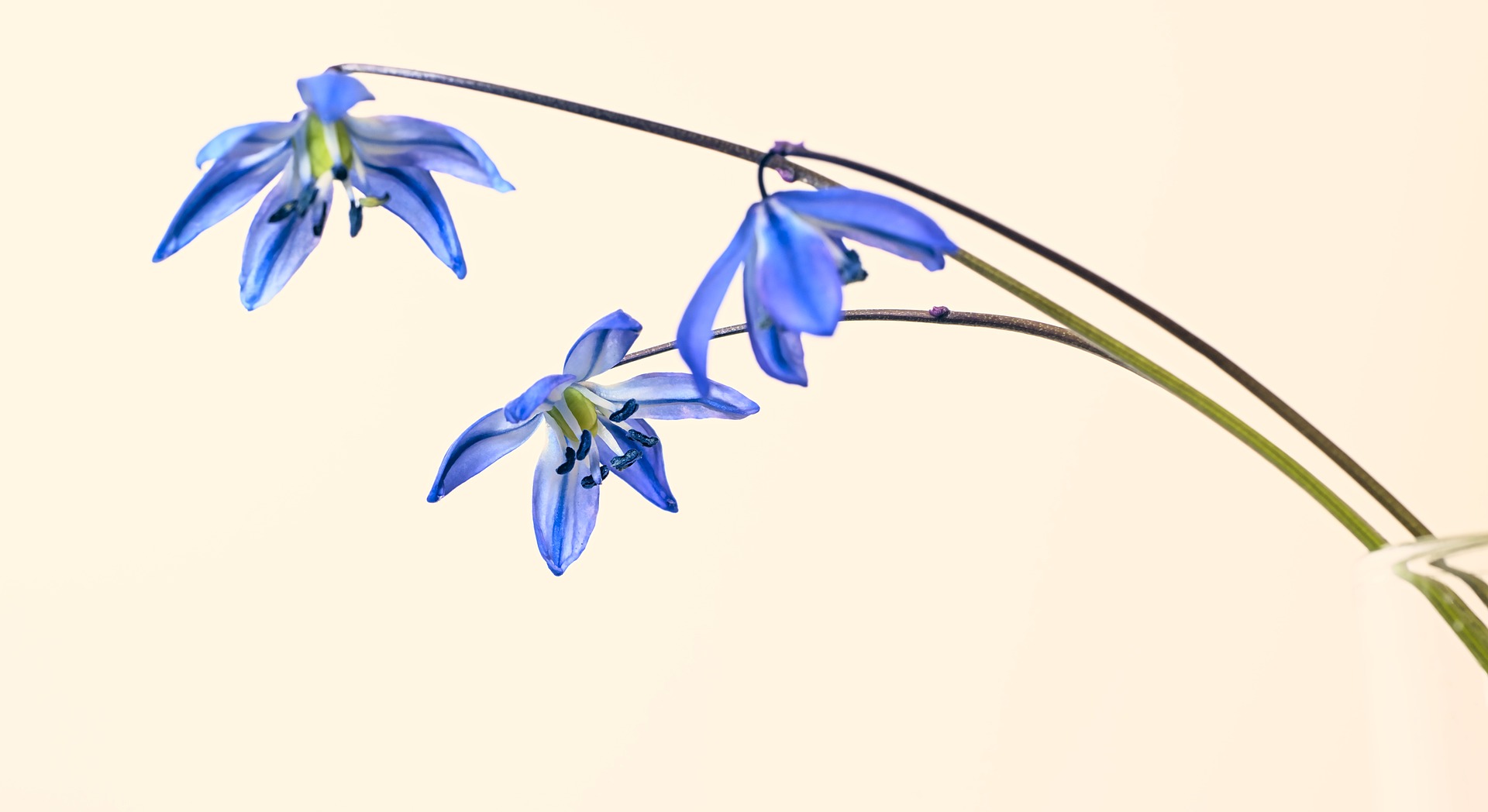 Story: Teaching Grace - Prayables