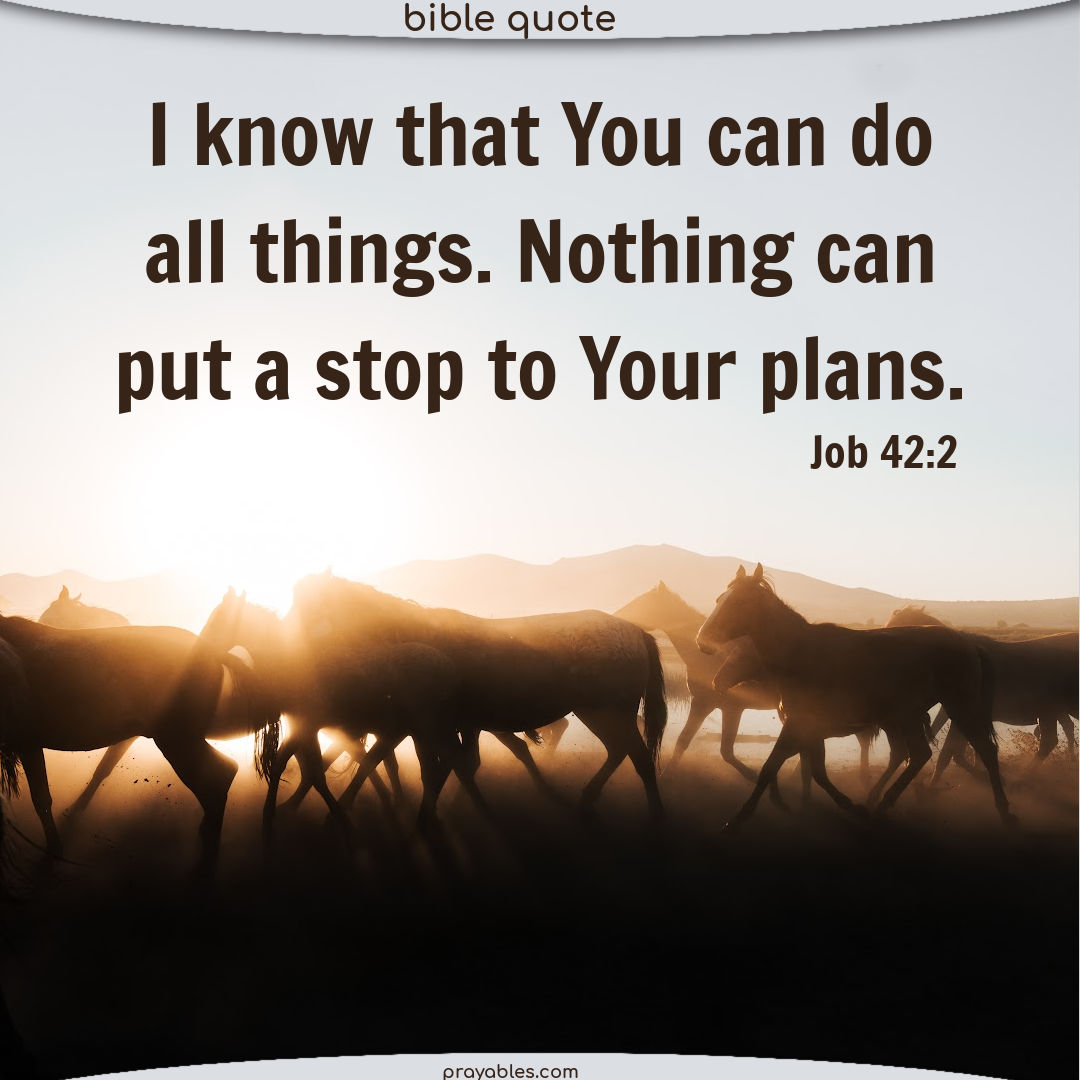 Bible: Job 42:2 - Prayables