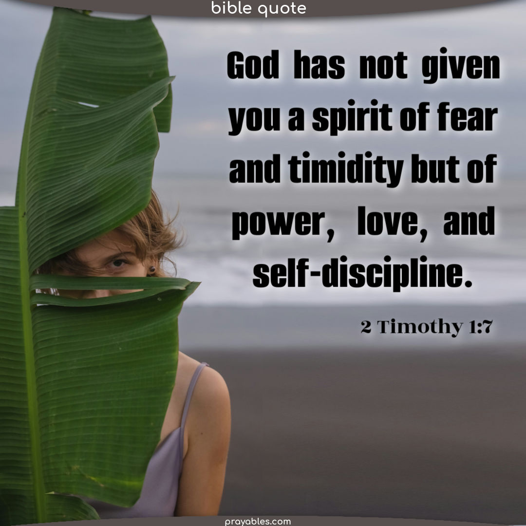Bible Quotes