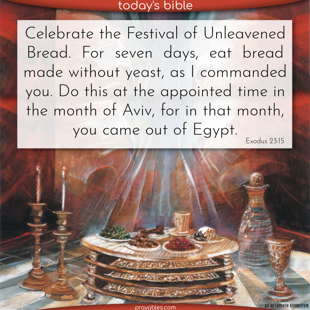 Bible Quotes