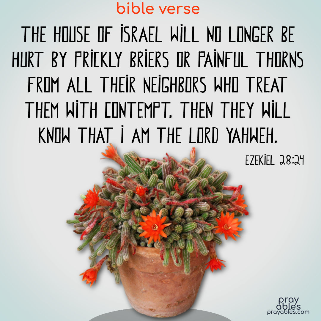 Bible Quotes