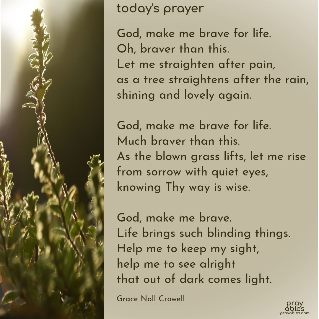 Prayer: Brave for Life - Prayables