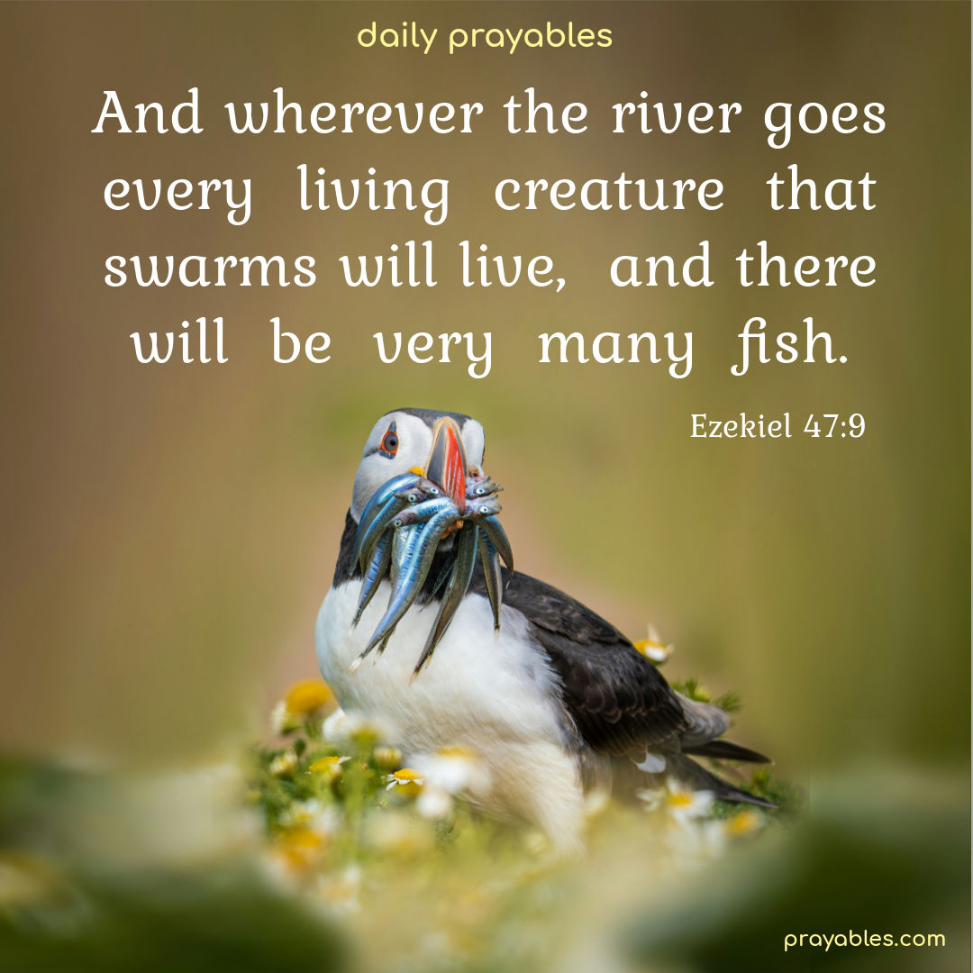 Bible Quotes