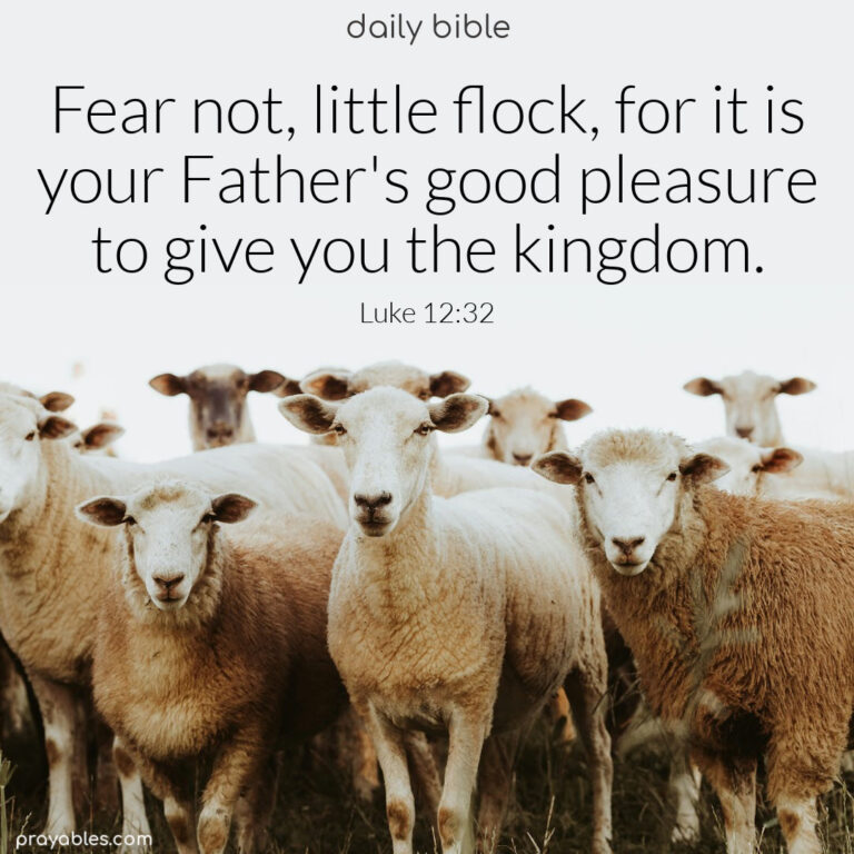 Bible: Luke 12:32 - Prayables