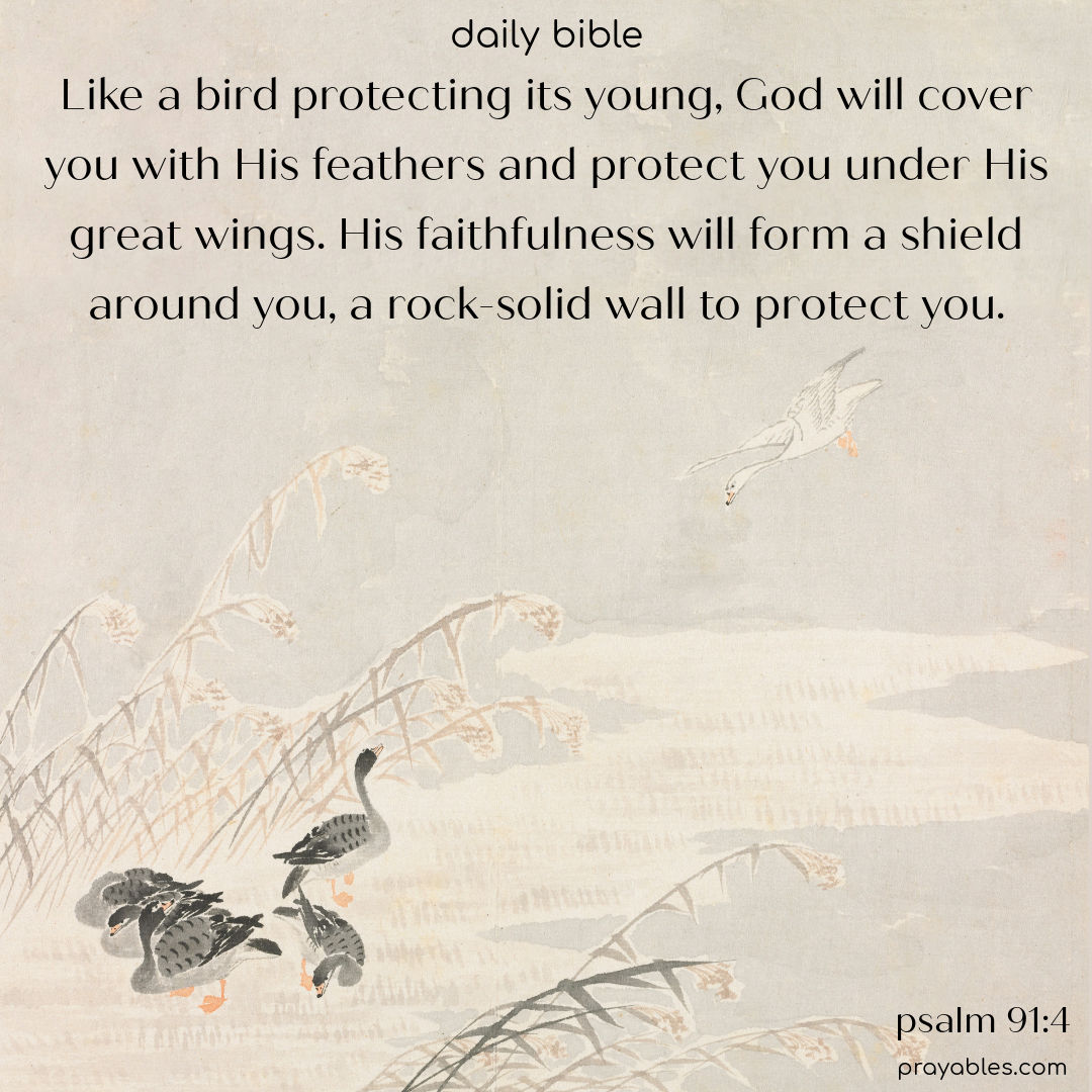 Bible: Psalm 91:4 - Prayables
