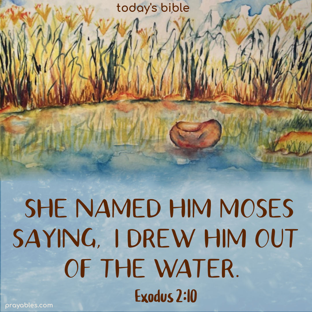 Bible: Exodus 2:10 - Prayables