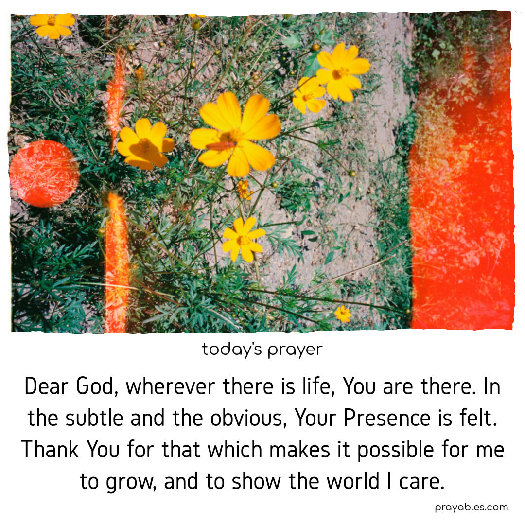 Prayers Archives - Prayables