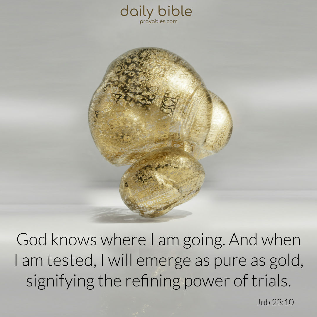 Bible: Job 23:10 - Prayables