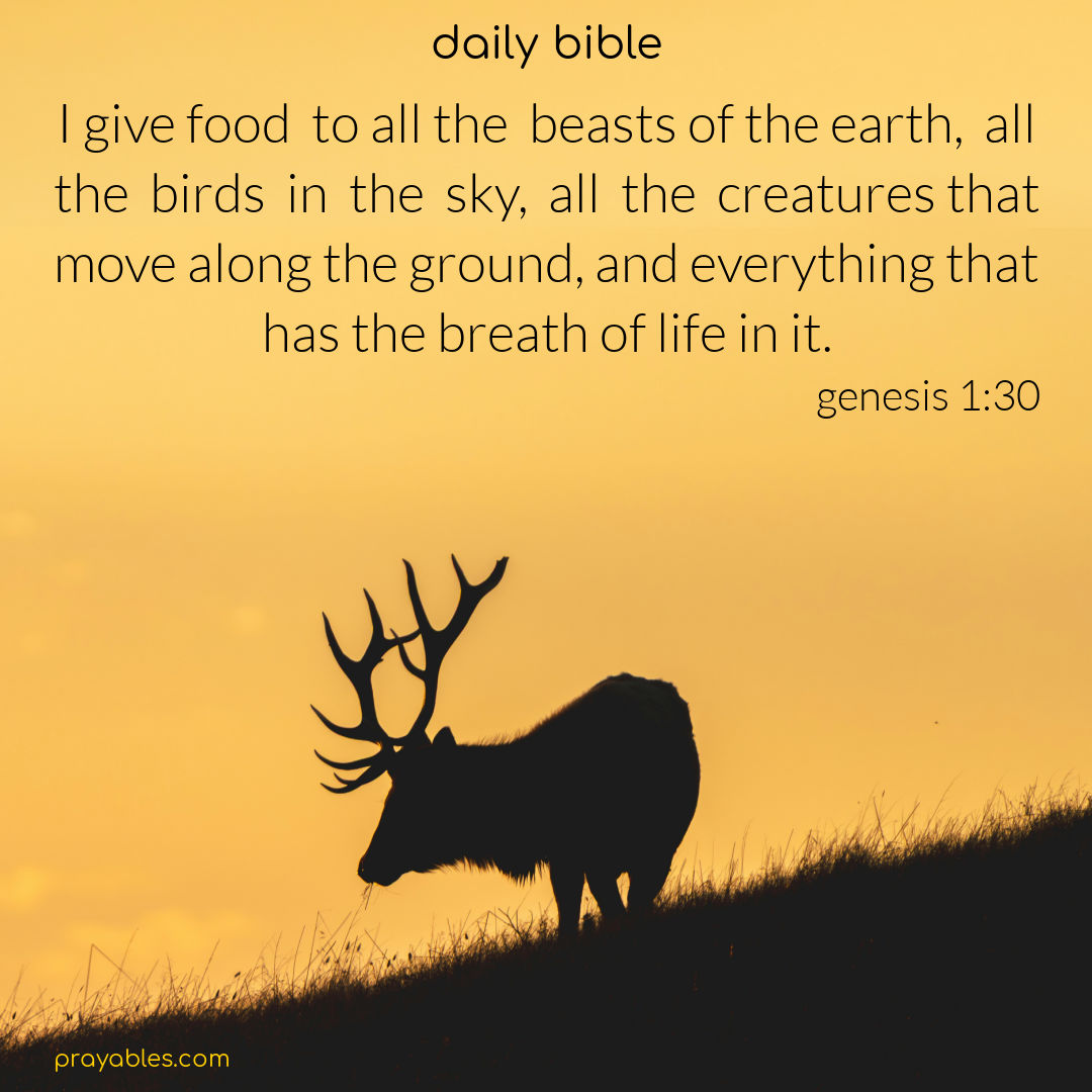 Bible: Genesis 1:30 - Prayables