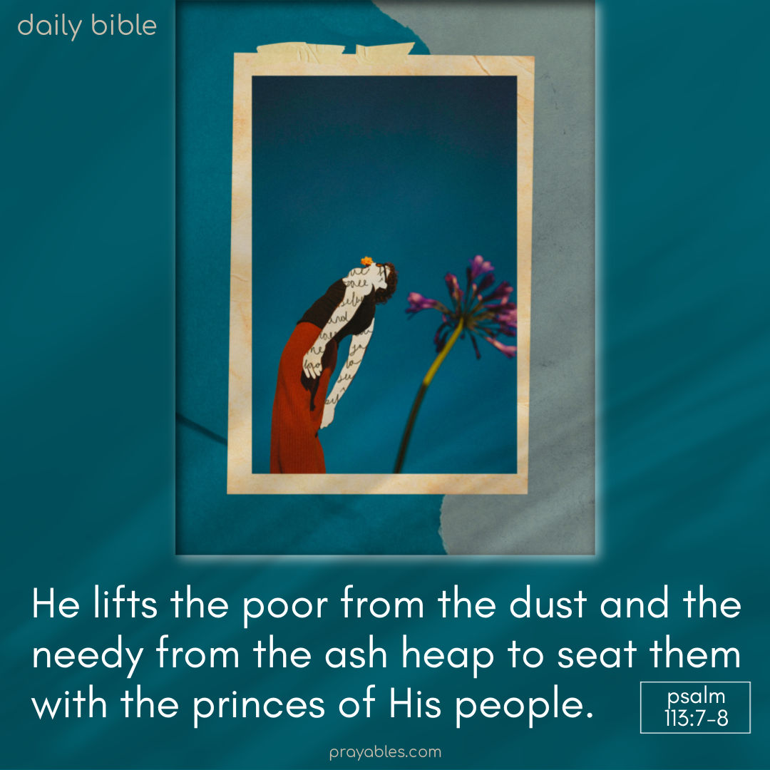 Bible: Psalms 113:7-8 - Prayables
