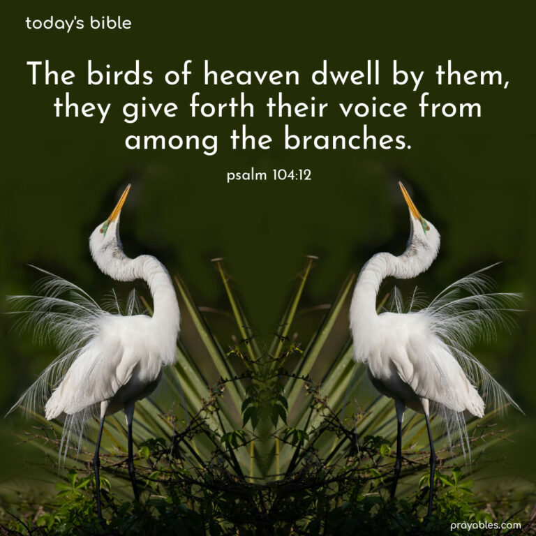 Bible Quotes