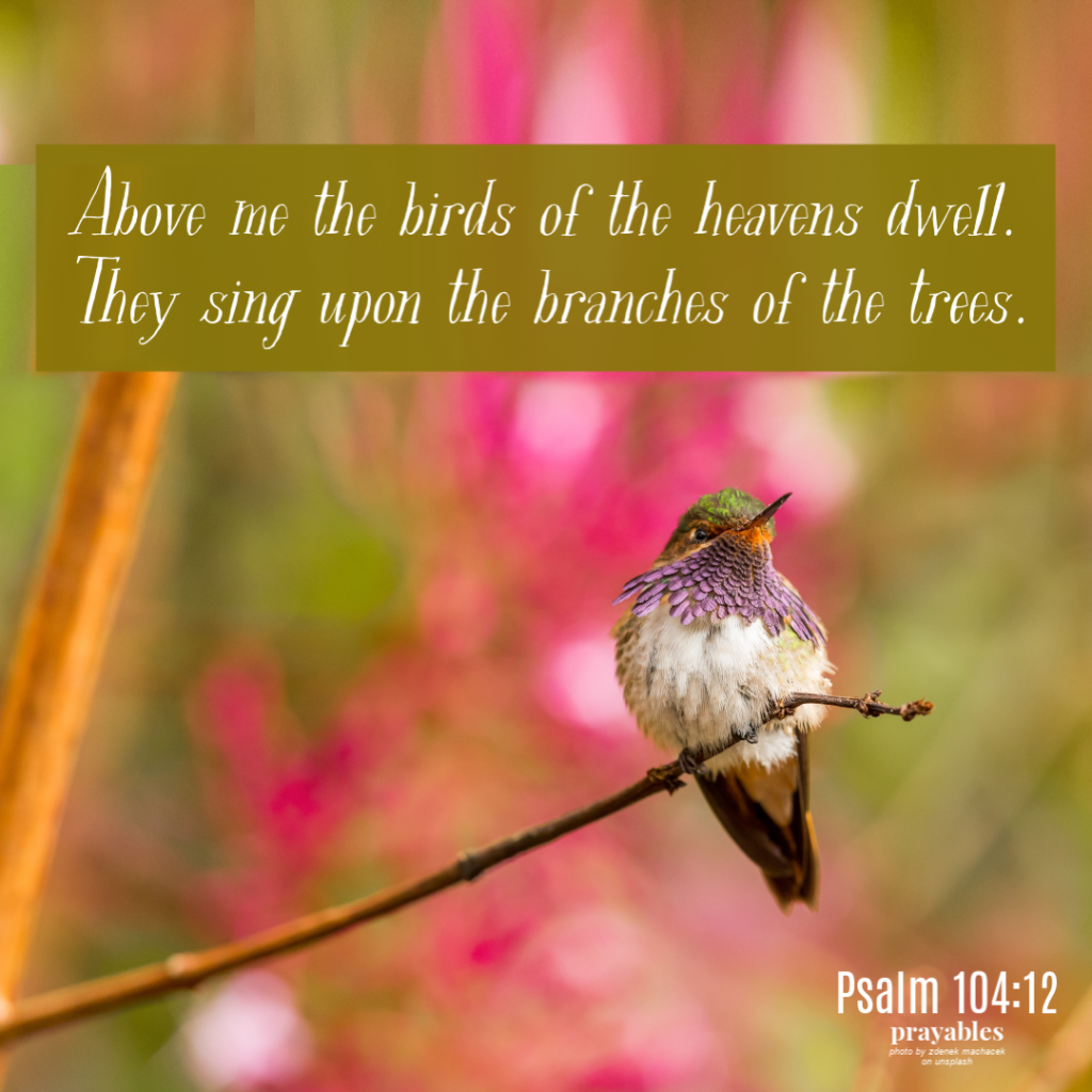 Bible Affirmation Psalm 104 12 Prayables Bible Affirmation Psalm 104 12 Prayables