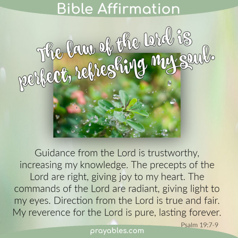 Bible Psalm 19 7 9 Prayables
