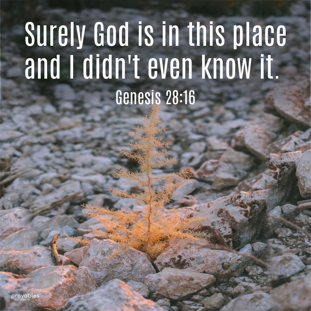 Bible Genesis 28 16 Prayables bible-genesis-28-16-prayables