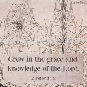 Bible: 2 Peter 3:18 - Prayables