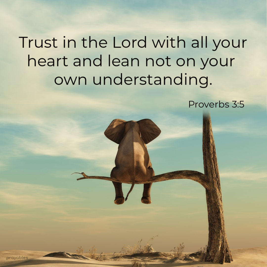 Bible Proverbs 3 5 Prayables
