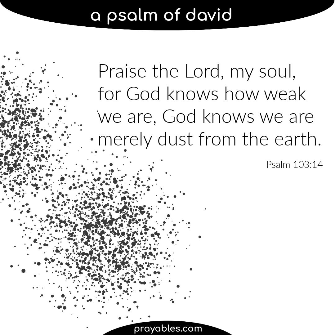 Bible Quotes