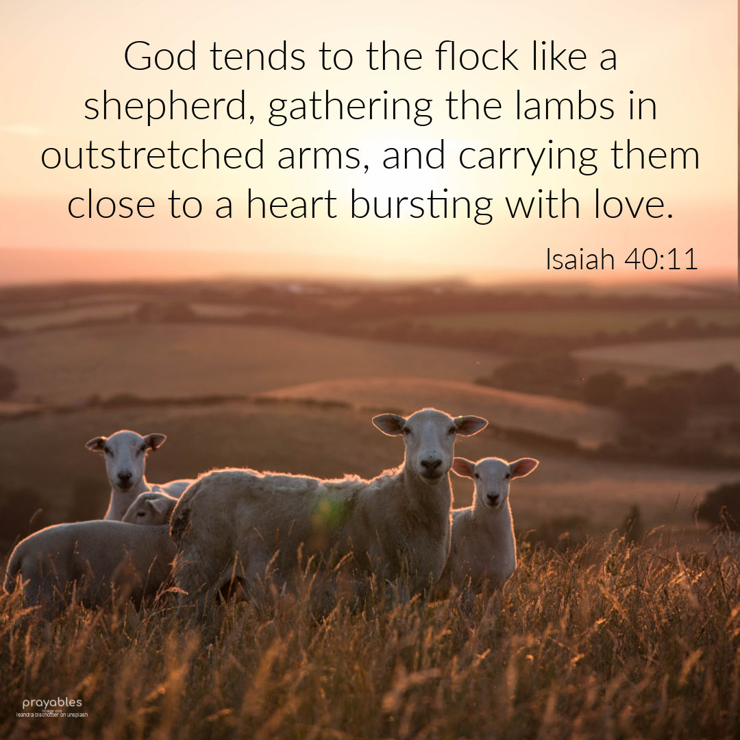 Bible Isaiah 40 11 Prayables