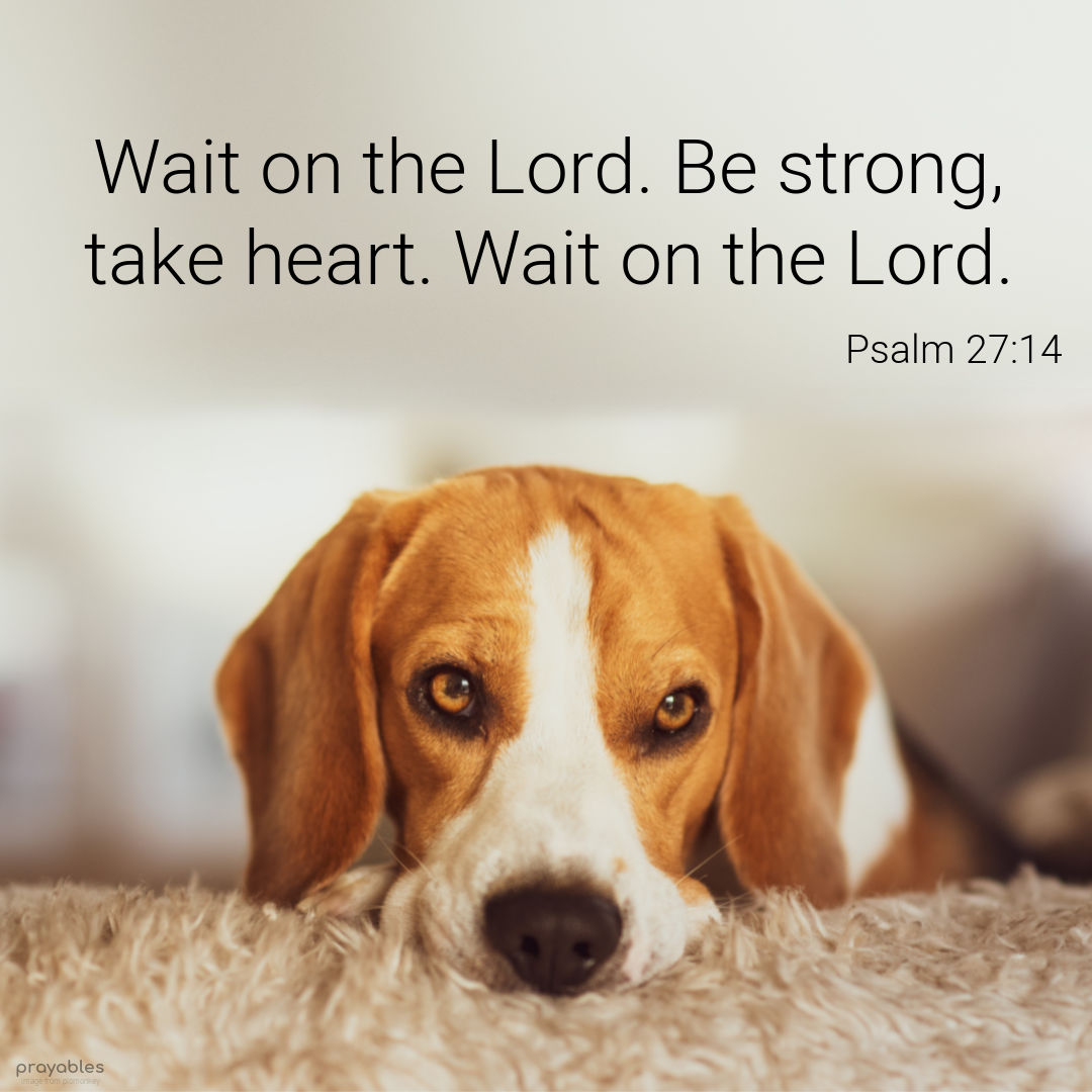 Bible: Psalm 27:14 - Prayables
