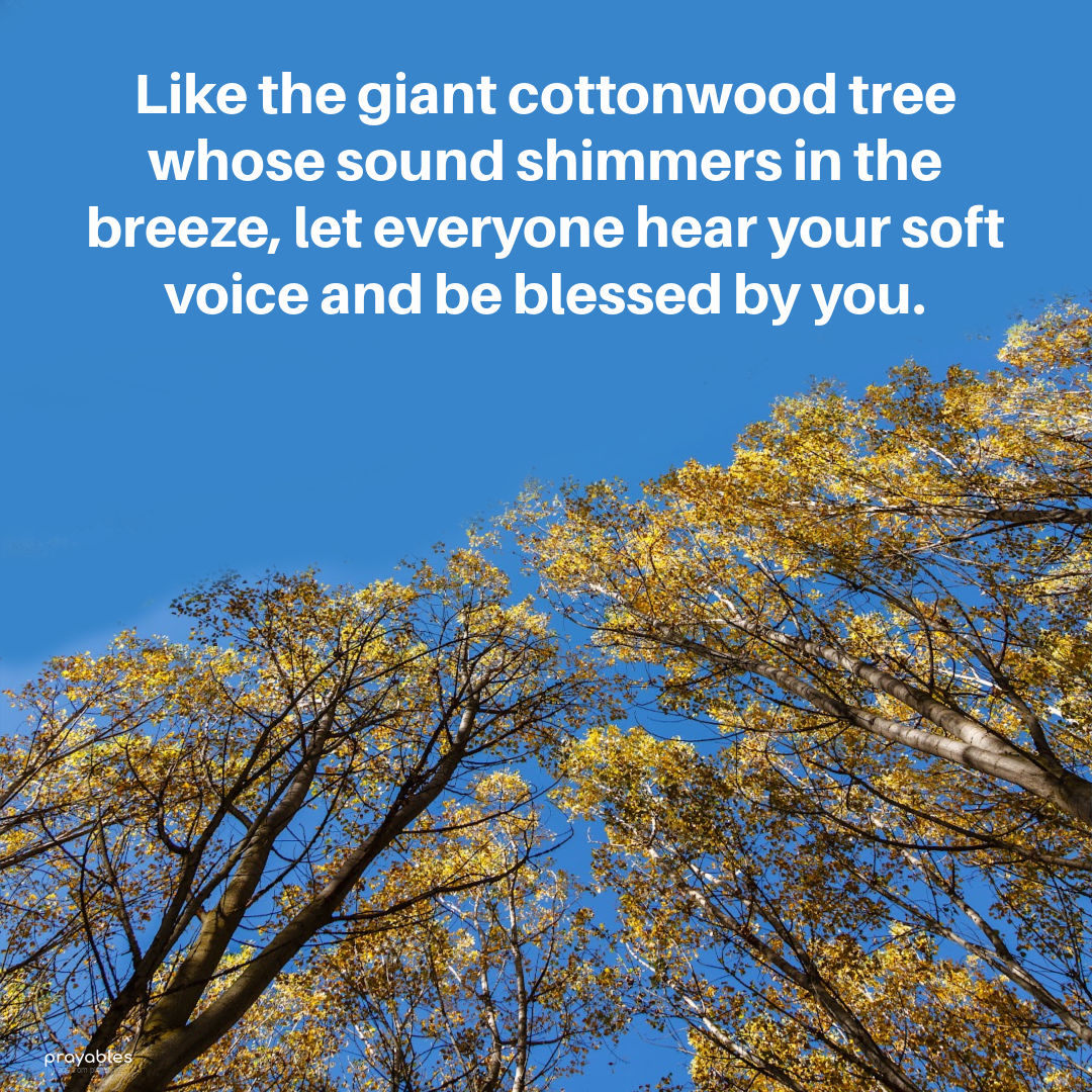 Blessing: Cottonwood Tree - Prayables