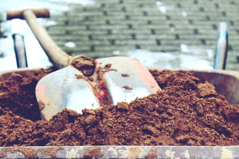 Story: God's Shovel - Prayables