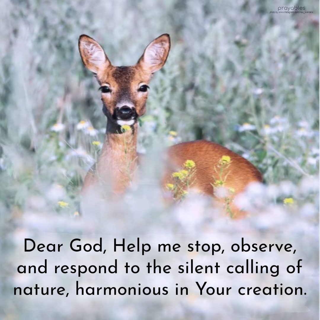 Prayer In Nature Background