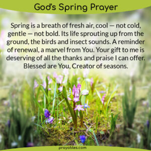 Prayer: God's Spring - Prayables
