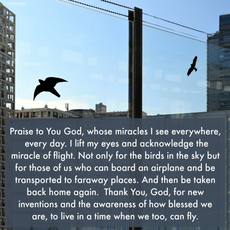 Prayer: Miracle of Flight - Prayables